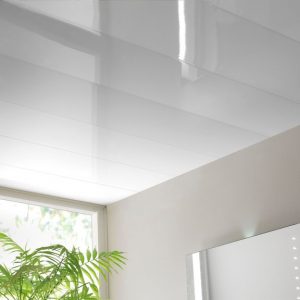 PVC Cladding | Hygienic Wall Cladding Ireland